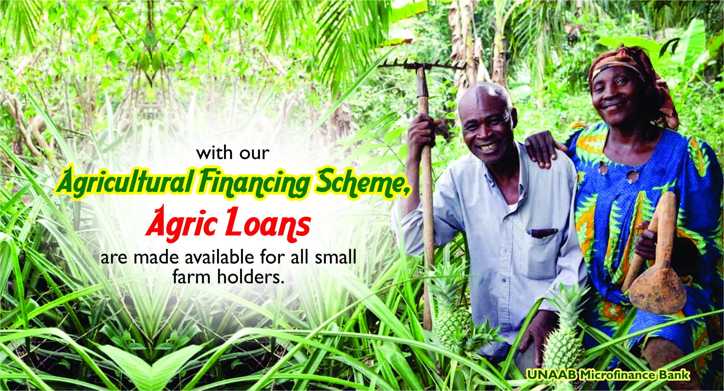 UNAAB Microfinance Bank Ltd.